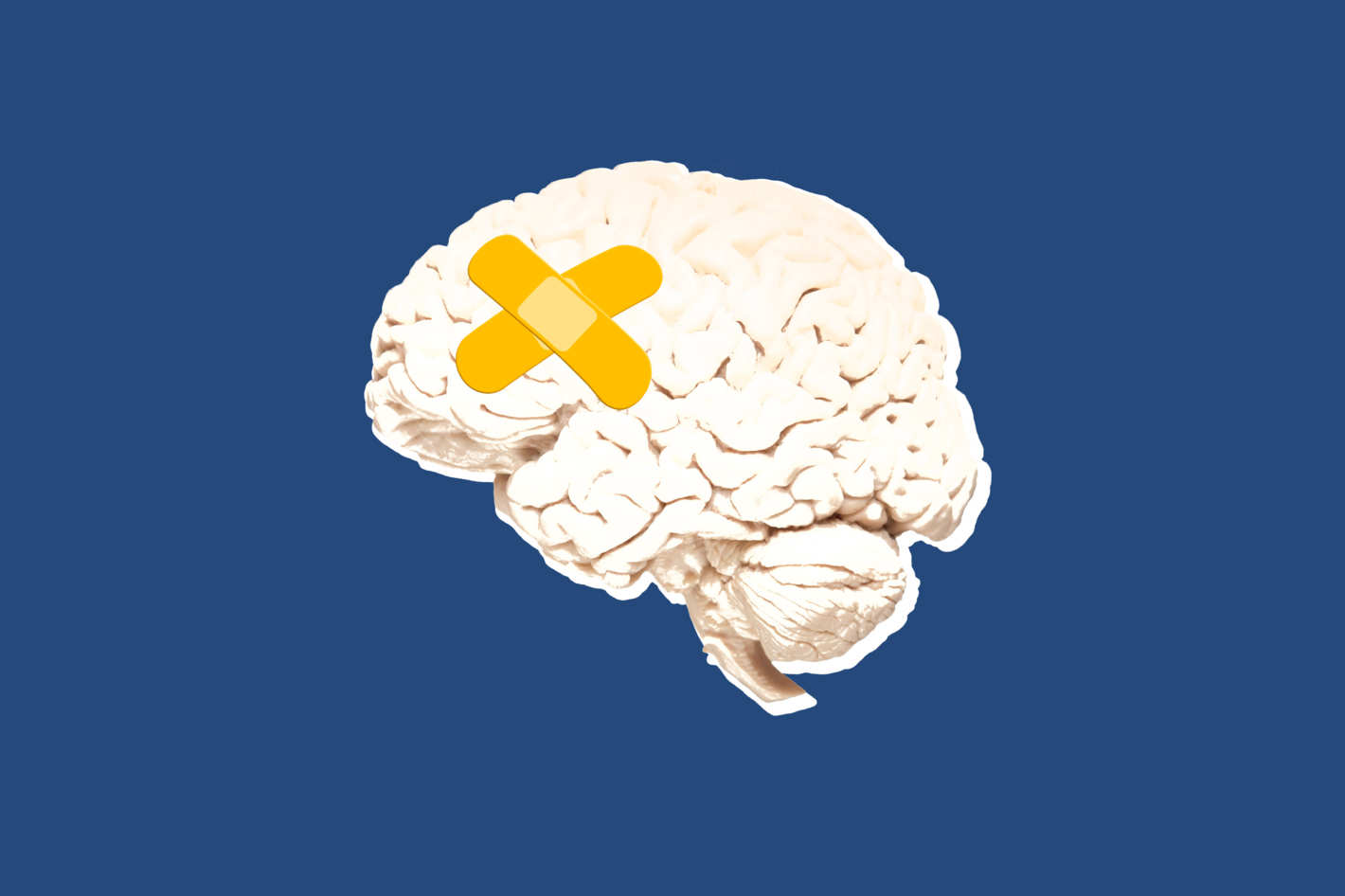 ¿Cómo Responde Tu Cerebro Al Dolor? – Feel the Brain